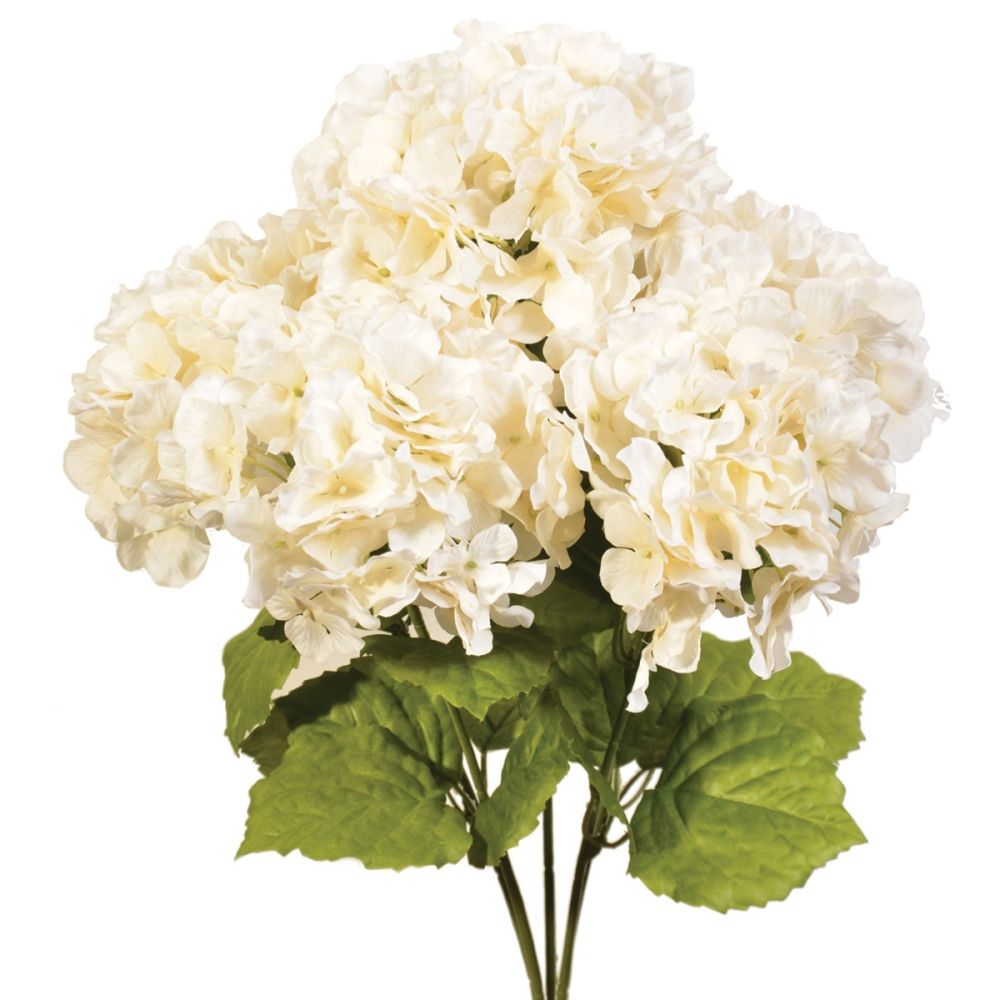 Wholesale | Premium Hydrangea Bush x5, 21" - Cream | Pioneer Imports ...