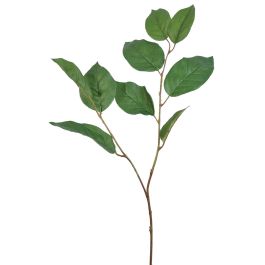 Salal Leaf Spray | 30" | Green | Pioneer Imports & Wholesale