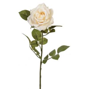 Wholesale | Colorfast Elegant Open Rose Stem x1, 25" - Cream | Pioneer ...